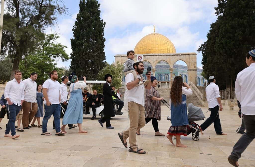 A PROPOS - Mizane.info