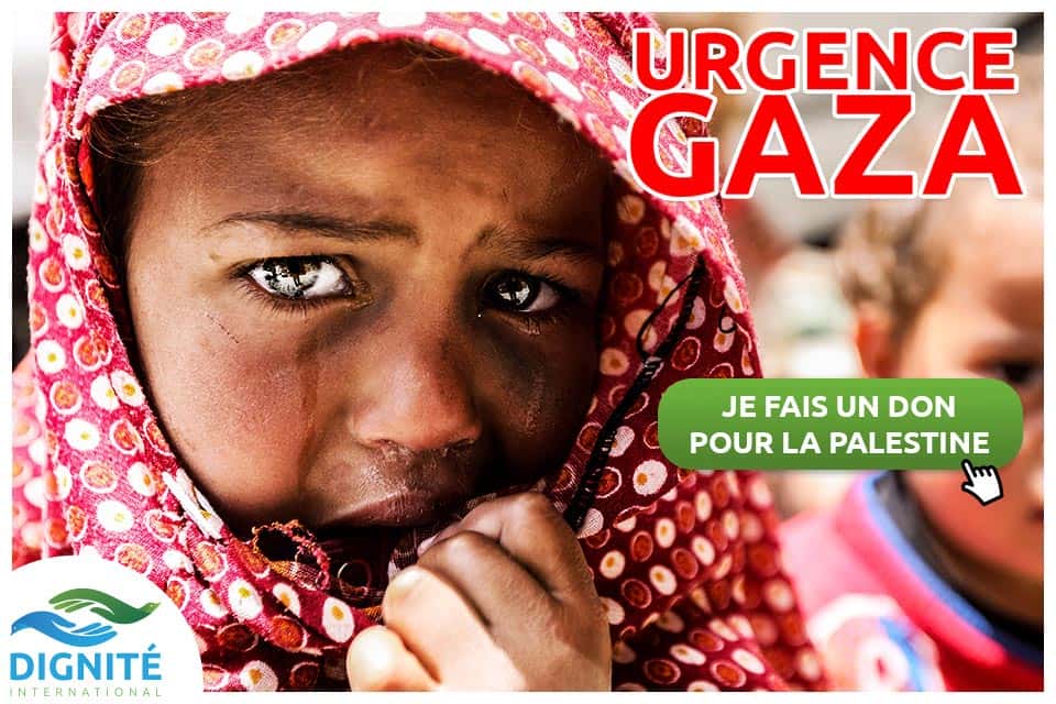 Mizane.info : un espace de réflexion et d'information sur l'islam ...